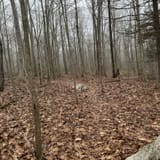 Mooween State Park Loop , Connecticut - 387 Reviews, Map | AllTrails