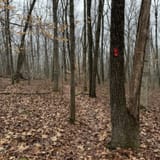 Mooween State Park Loop , Connecticut - 387 Reviews, Map | AllTrails