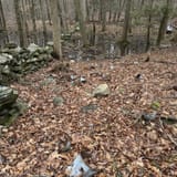Mooween State Park Loop , Connecticut - 387 Reviews, Map | AllTrails