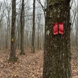 Mooween State Park Loop , Connecticut - 387 Reviews, Map | AllTrails