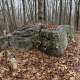 Mooween State Park Loop , Connecticut - 387 Reviews, Map | AllTrails