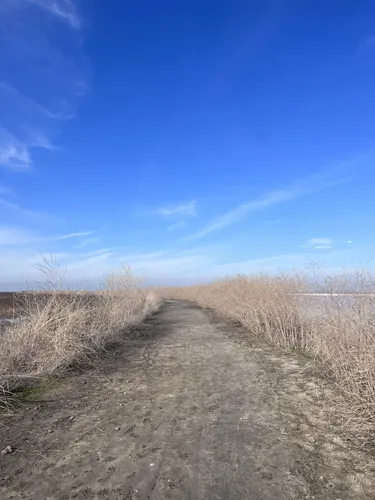 Best 10 Hiking Trails in Alviso Marina County Park | AllTrails