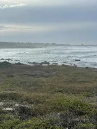 Best Hikes and Trails in Asilomar State Beach | AllTrails
