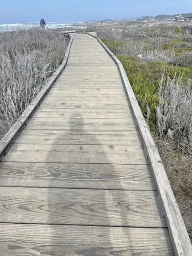Best Hikes and Trails in Asilomar State Beach | AllTrails