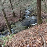 Quabbin Reservoir Gates 11-12 Loop Trail, Massachusetts - 242 Reviews ...