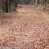 Quabbin Reservoir Gates 11-12 Loop Trail, Massachusetts - 242 Reviews ...