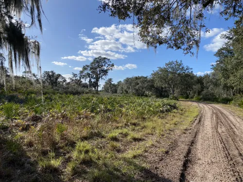 Best Hikes and Trails in Split Oak Forest Wildlife And Environmental ...