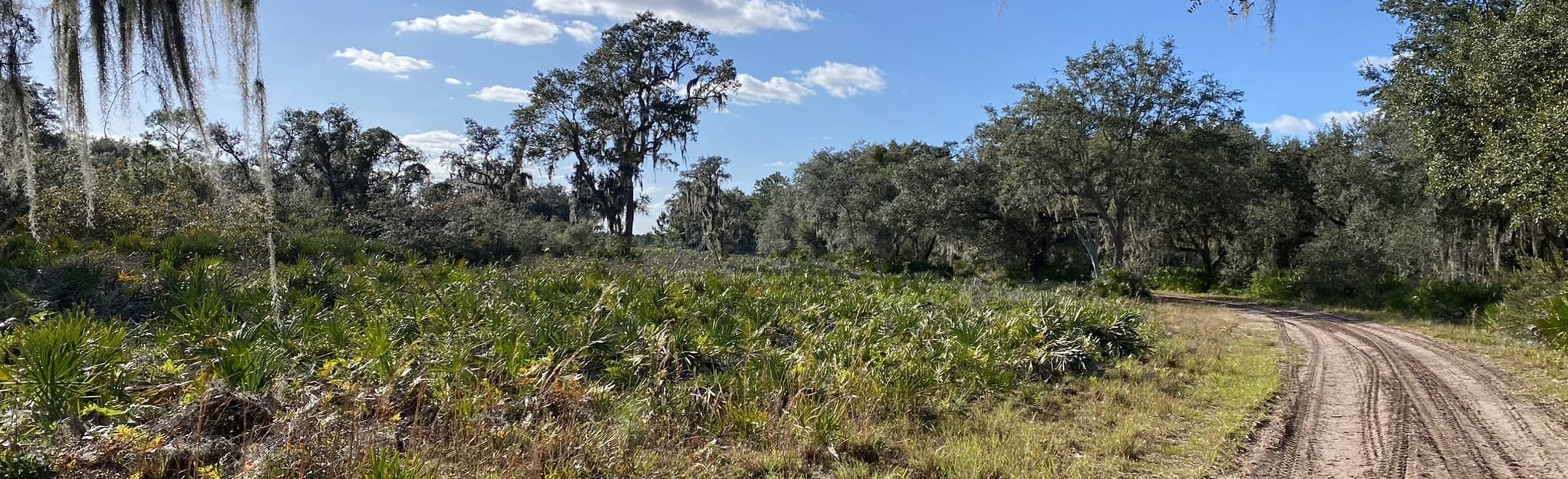 Split Oak Forest Green Trail, Florida - 497 Reviews, Map | AllTrails