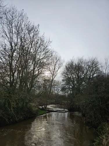 Best Hikes and Trails in Heart of England Forest - Haydon Way Wood ...