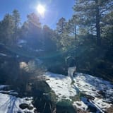 Red Mountain Trail, Arizona - 874 Reviews, Map | AllTrails