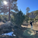 Red Mountain Trail, Arizona - 879 Reviews, Map | AllTrails