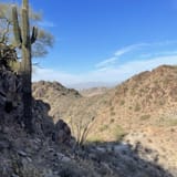 Ruth Hamilton Trail, Arizona - 2,727 Reviews, Map | AllTrails