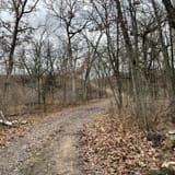 Ice Age Trail: Stoney Ridge, Wisconsin - 312 Reviews, Map | AllTrails