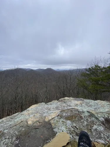 Best Hikes and Trails in Knobs State Forest | AllTrails