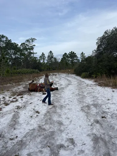 Best Hikes and Trails in Bluefield Preserve | AllTrails