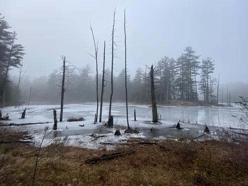 Best Hikes and Trails in Pole Hill Pond | AllTrails