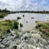 Berwick Springs Wetland Loop, Victoria, Australia - 81 Reviews, Map ...