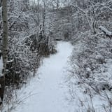 Triple Tree Trail, Montana - 1,169 Reviews, Map | AllTrails