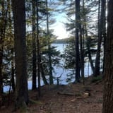 Lower Hadlock Pond Loop Trail, Maine - 597 Reviews, Map | AllTrails