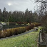 North Creek Trail, Washington - 562 Reviews, Map | AllTrails