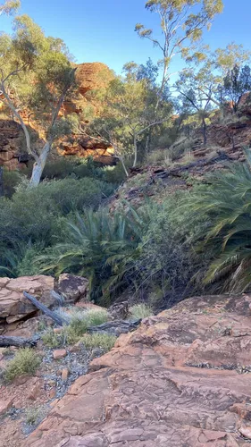 Best Hikes and Trails in Watarrka National Park | AllTrails