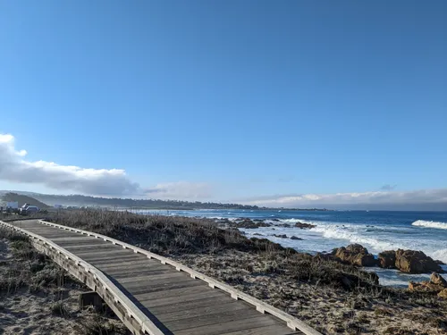 Best Hikes and Trails in Asilomar State Beach | AllTrails