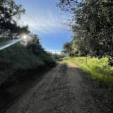 Newhall Pass: Weldon Canyon Trail, California - 236 Reviews, Map ...