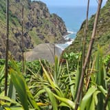 Mercer Bay Loop Track, Auckland, New Zealand - 504 Reviews, Map | AllTrails