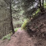 Clatsop Loop Trail from Indian Beach, Oregon - 2,490 Reviews, Map ...