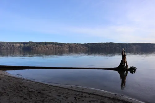 Best Hikes and Trails in Olalla | AllTrails