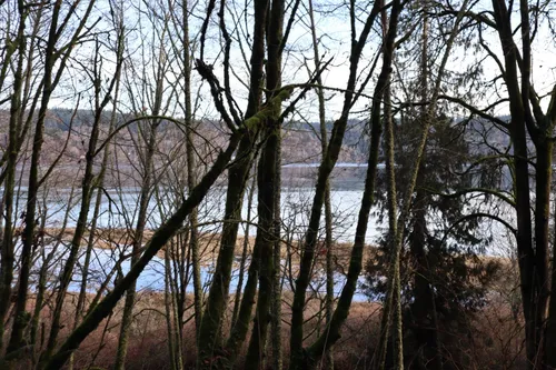 Best Hikes and Trails in Olalla | AllTrails