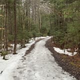Grout Pond Trail, Vermont - 298 Reviews, Map | AllTrails