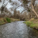 Lost Lake Nature Trail, California - 183 Reviews, Map | AllTrails