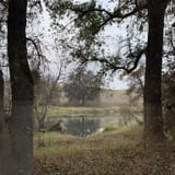 Lost Lake Nature Trail, California - 183 Reviews, Map | AllTrails