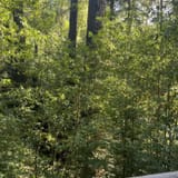 Pine Ridge and Post Creek Trail, California - 366 Reviews, Map | AllTrails