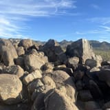 Signal Hill Trail, Arizona - 1,162 Reviews, Map | AllTrails
