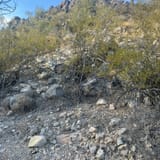 Signal Hill Trail, Arizona - 1,162 Reviews, Map | AllTrails