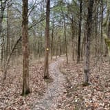 Deer Run Trail, Missouri - 822 Reviews, Map | AllTrails