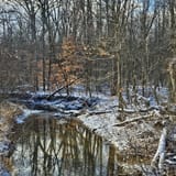 Sippo Valley Trail, Ohio - 213 Reviews, Map | AllTrails