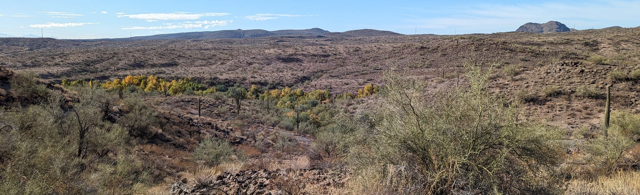 Beardsley Trail, Arizona - 291 Reviews, Map | AllTrails