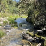 Mount Beauty Gorge Walk, Victoria, Australia - 226 Reviews, Map | AllTrails