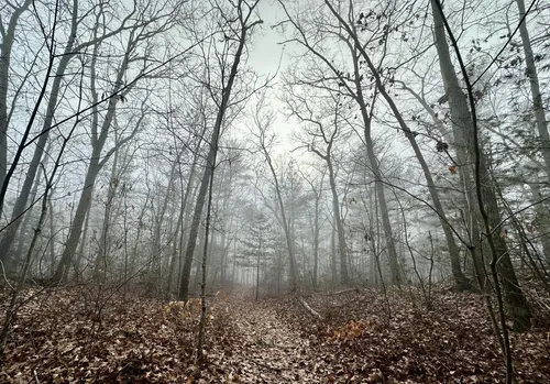 Best Hikes and Trails in Buffam Falls Conservation Area | AllTrails