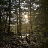 Mount Ascutney via Weathersfield Trail, Vermont - 1,318 Reviews, Map ...