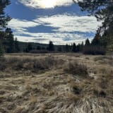 Sagehen Creek Loop, California - 993 Reviews, Map | AllTrails