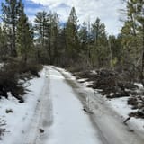 Sagehen Creek Loop, California - 993 Reviews, Map | AllTrails