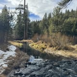 Sagehen Creek Loop, California - 993 Reviews, Map | AllTrails