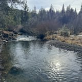 Sagehen Creek Loop, California - 993 Reviews, Map | AllTrails