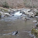 Laurel River Trail, North Carolina - 1,310 Reviews, Map | AllTrails