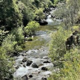 Mount Beauty Gorge Walk, Victoria, Australia - 226 Reviews, Map | AllTrails