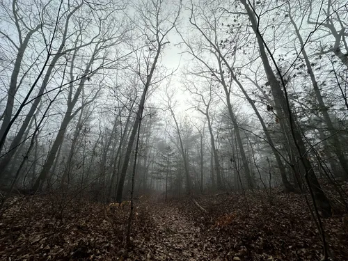 Best Hikes and Trails in Buffam Falls Conservation Area | AllTrails